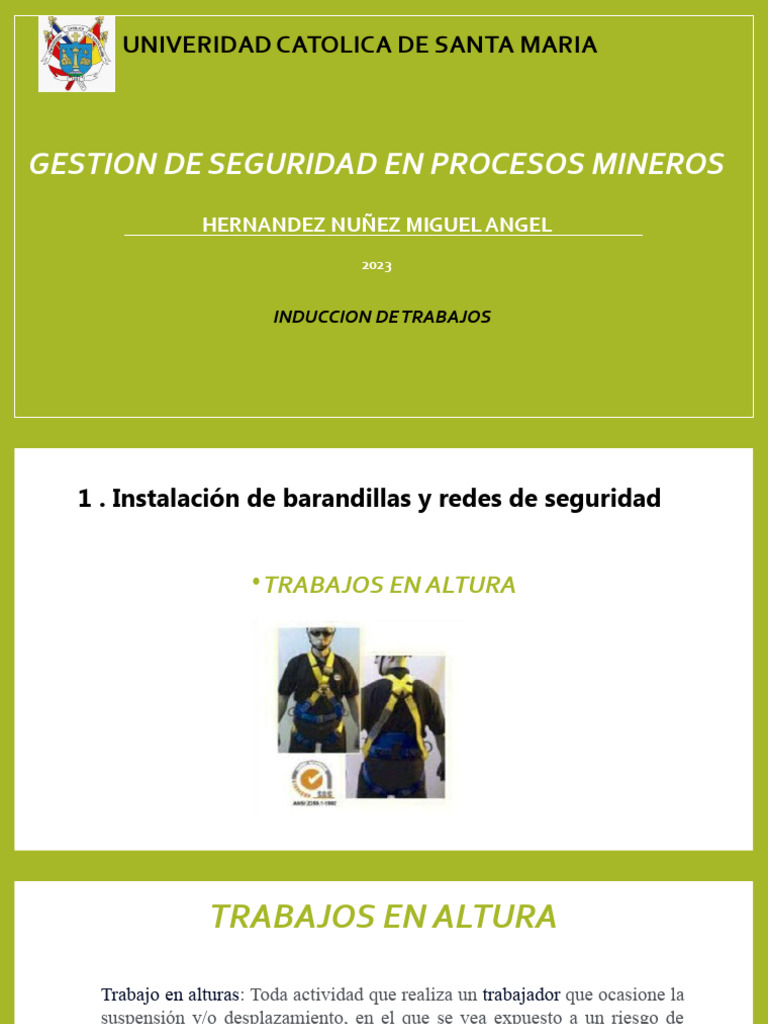 10 Inducciones | PDF