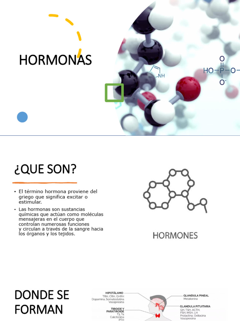 HORMONAS | PDF | Hormona | Hormona estimulante de la tiroides