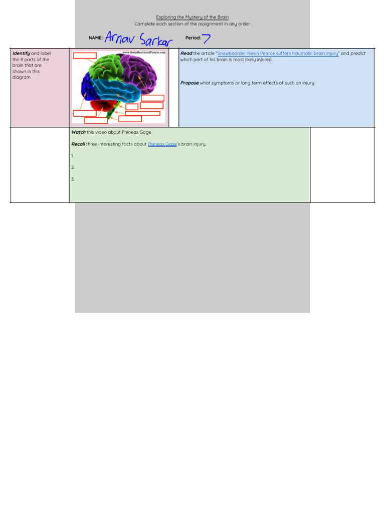 Exploring The Mystery of The Brain | PDF | Computers