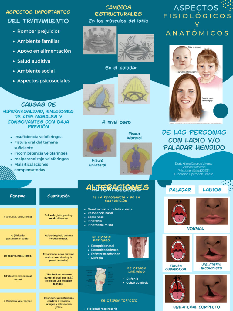 Fisiologia y Anatomia Del LPH | PDF | Fonética