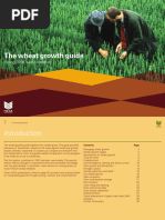 Understanding the Zadoks Growth Scale | PDF | Plant Morphology | Plant ...