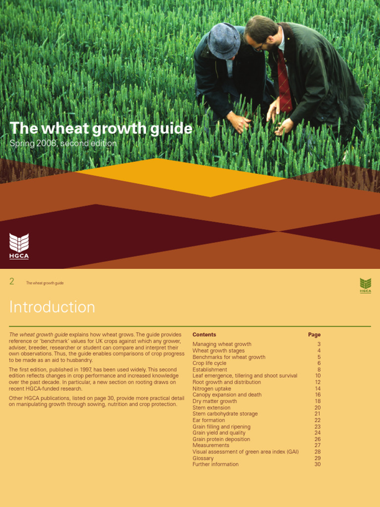 WGG 2008 | PDF | Wheat | Root