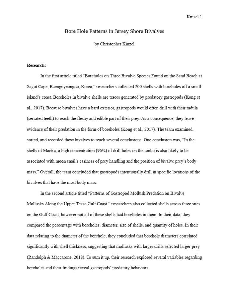 Christopher Kinzel - Bore Hole Patterns in Jersey Shore Bivalves | PDF ...