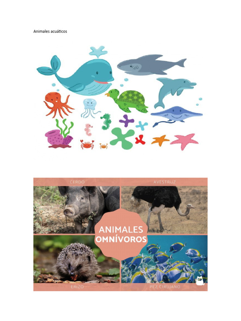 Animales Acuáticos | PDF