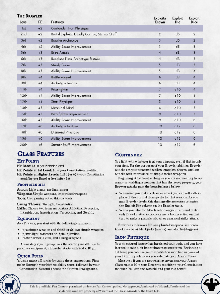 The Brawler Class | PDF