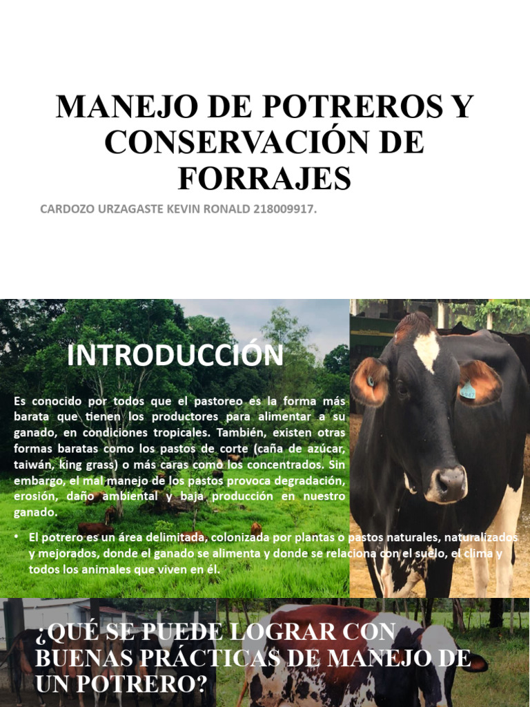 Manejo de Potreros y Conservación de Forrajes | PDF