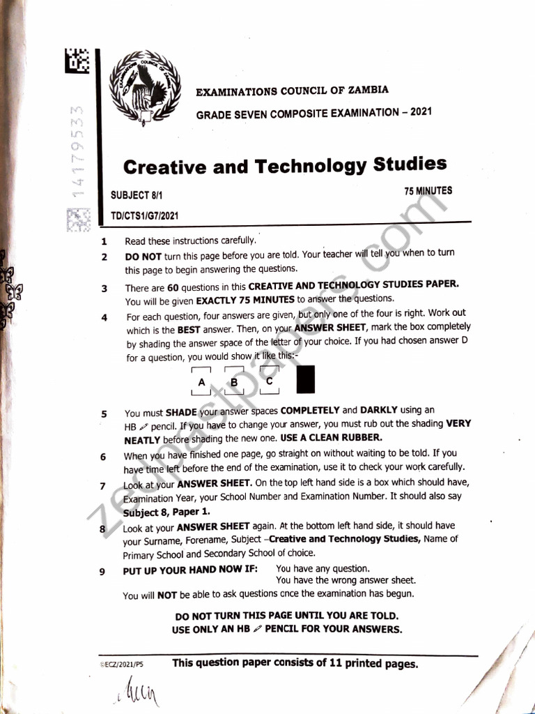 Grade 7 CTS Past Exam Paper 2021 | PDF