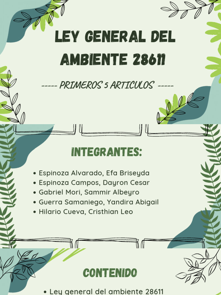 Ley 28611 (Primeros 5 Artículos) | PDF | Sustentabilidad | Desarrollo sostenible