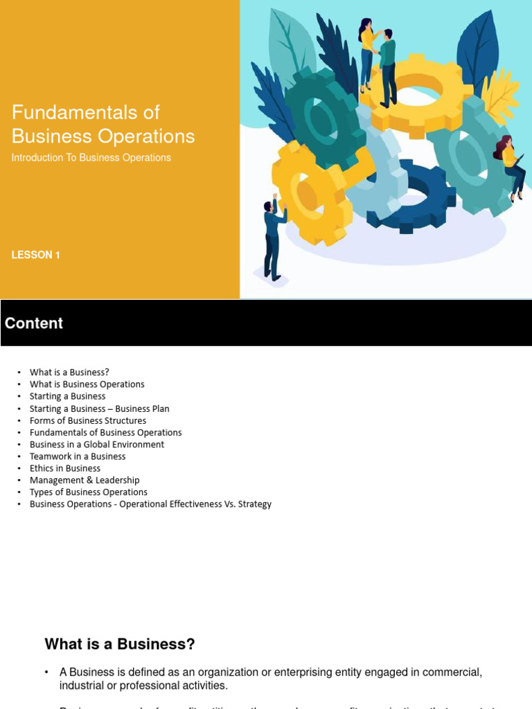 L1 Introduction To Business Operations | PDF