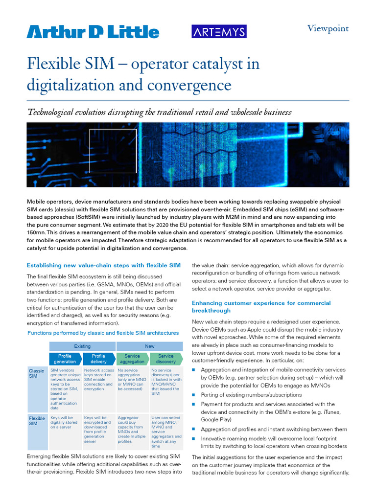 ADL VP Flexible Sim Final 01 | PDF | Service Industries | Telecommunications