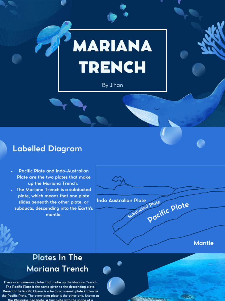 Mariana Trench | PDF | Plate Tectonics | Structural Geology