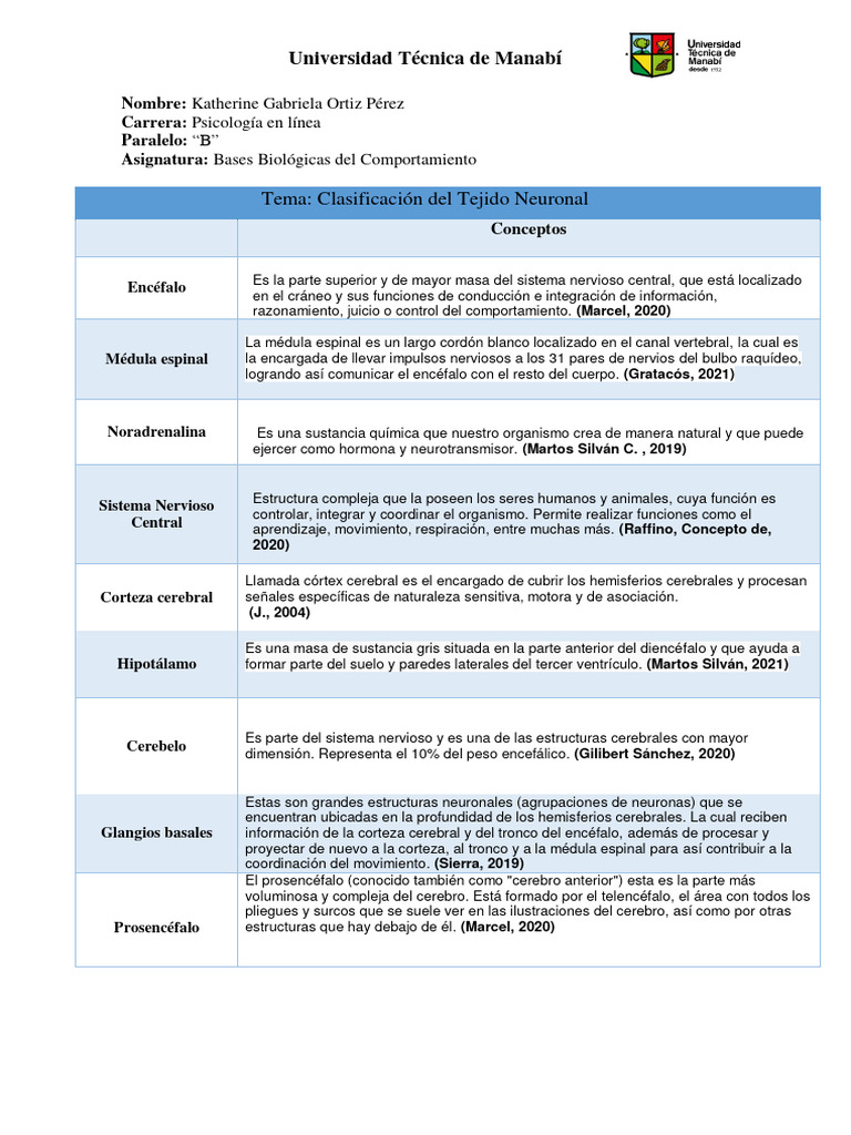 Tarea 4 Matriz de Conceptos Katherine Ortiz Pérez | PDF | Cerebro ...