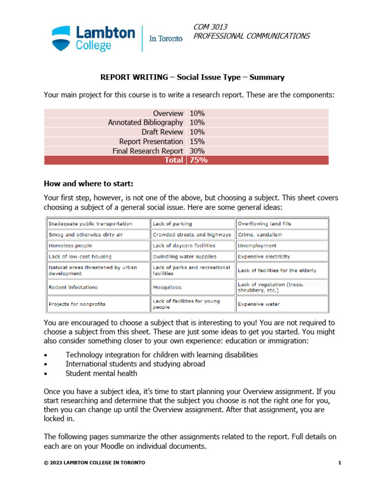 3013 Report Writing - Social Issue Type | PDF