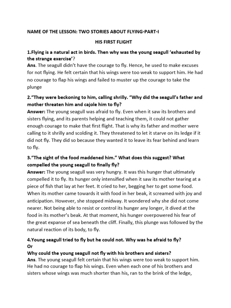 Two Stories About Flying - 1. His First Flight - Notes | PDF