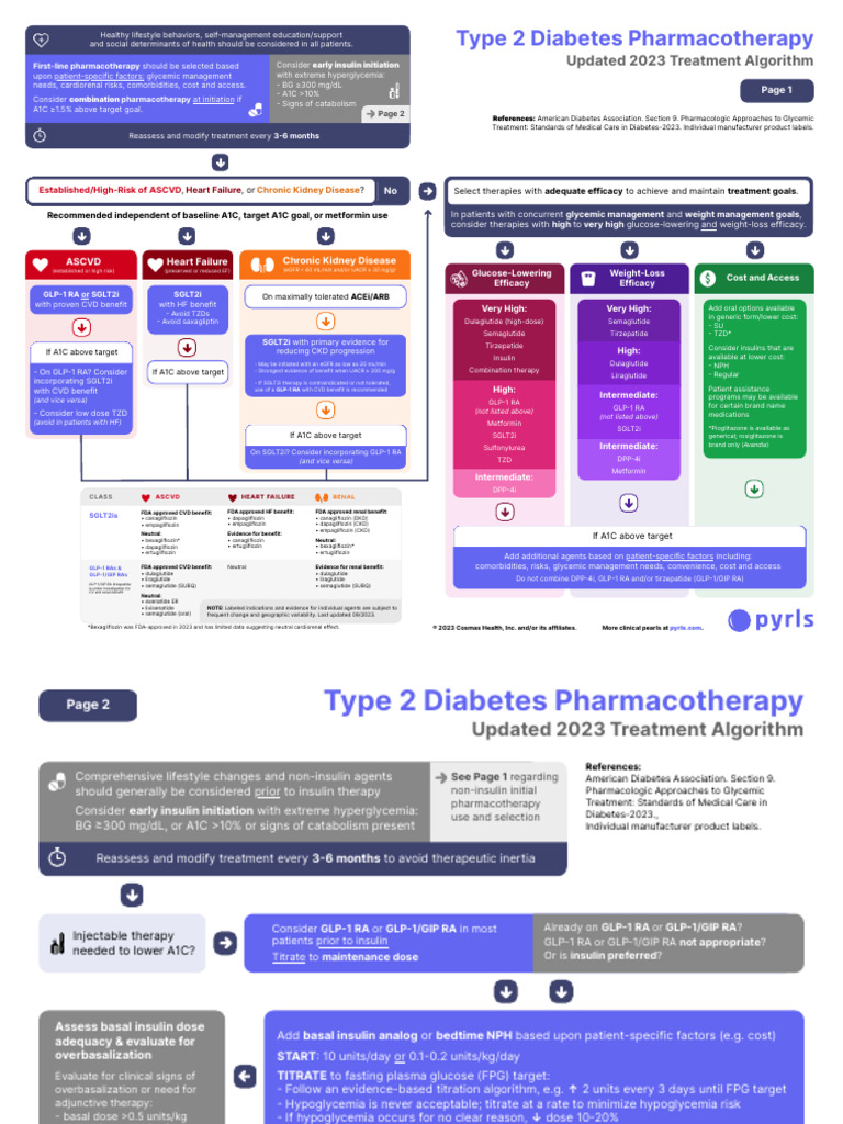 contentPDFs 2023 T2DM Pharmacotherapy Chart V2-2 | PDF | Therapy ...