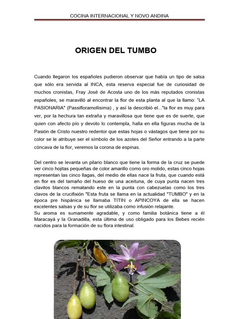 Origen Del Tumbo | PDF