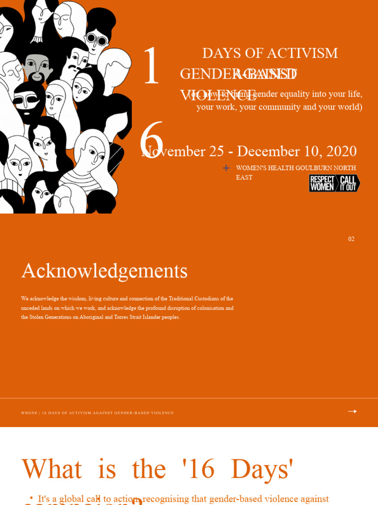16 Days of Activism Template for Orgs | PDF