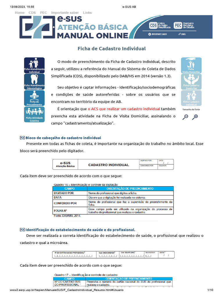 e-SUS AB - Individual | PDF