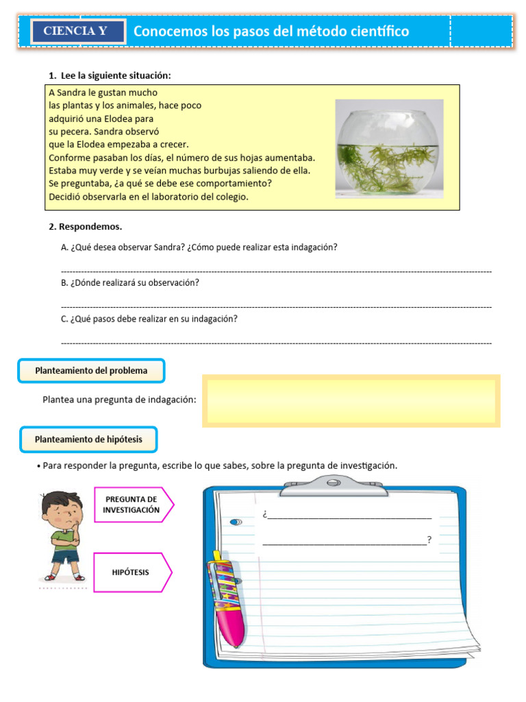 22-5 FICHA CT. Conocemos Los Pasos Del Método Científico | PDF | Método ...