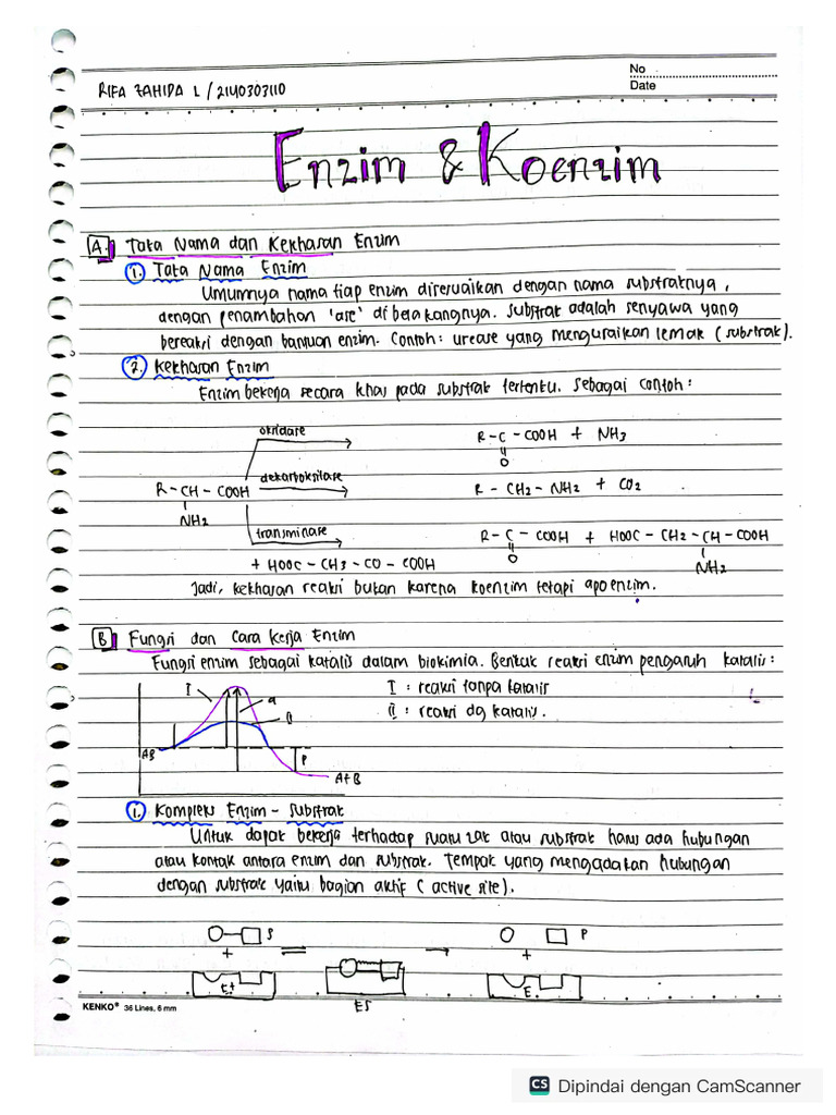 2140303110_Rifa Zahida Listiani_Resume Enzim | PDF
