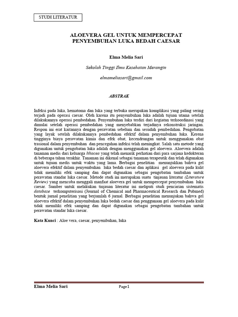 Contoh Study Literatur | PDF