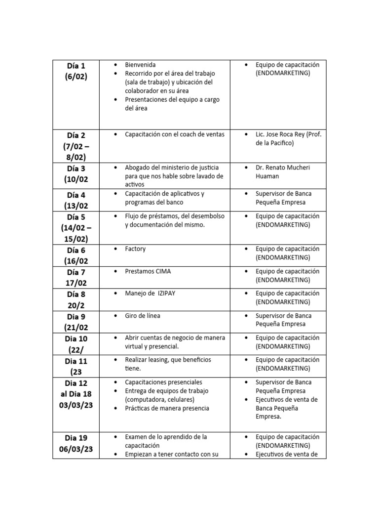 Cronograma Ibk | PDF