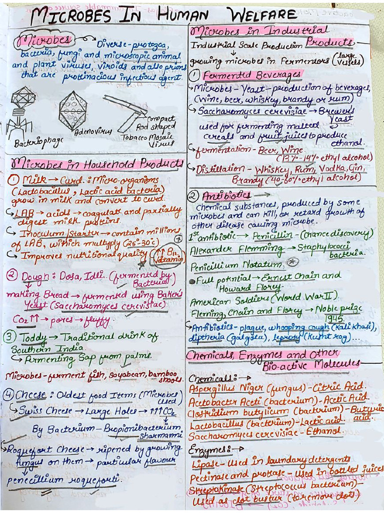 Microbes in Human Welfare | PDF