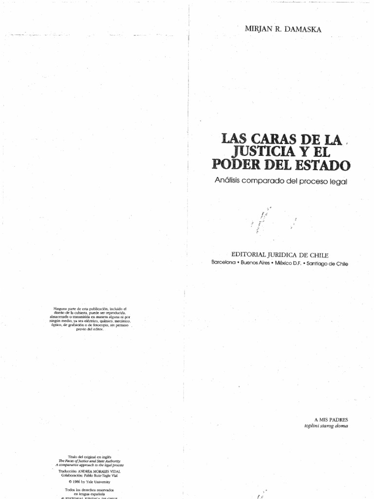 Damaska, Las Caras de La Justicia | PDF