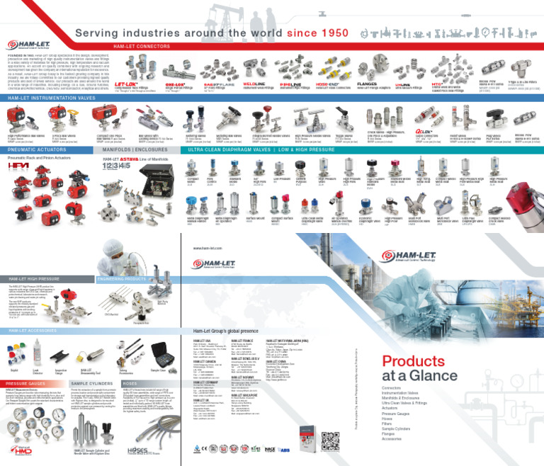 Product at a Glance HamLet Group | PDF