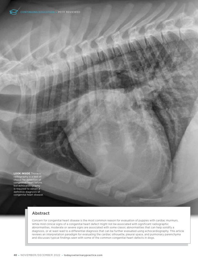Thoracic Radiography Pdf