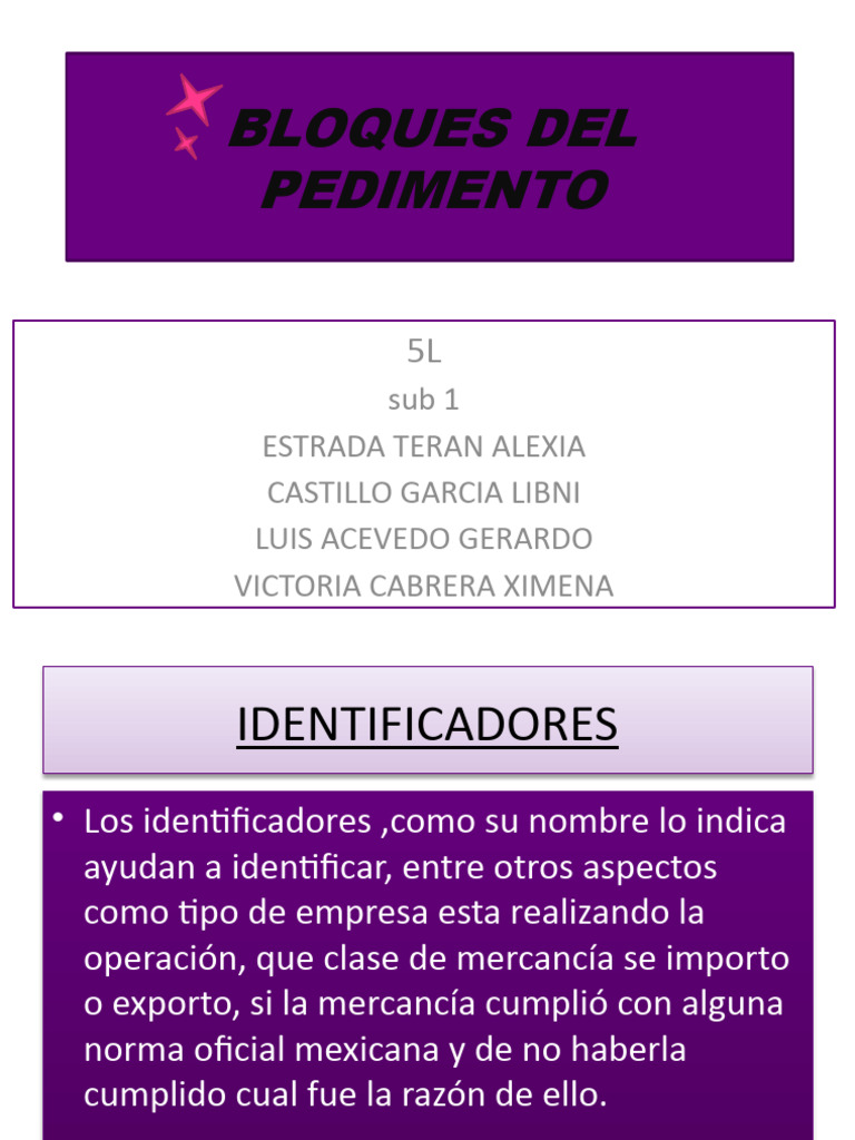 Bloques Del Pedimento Sub 1 | PDF