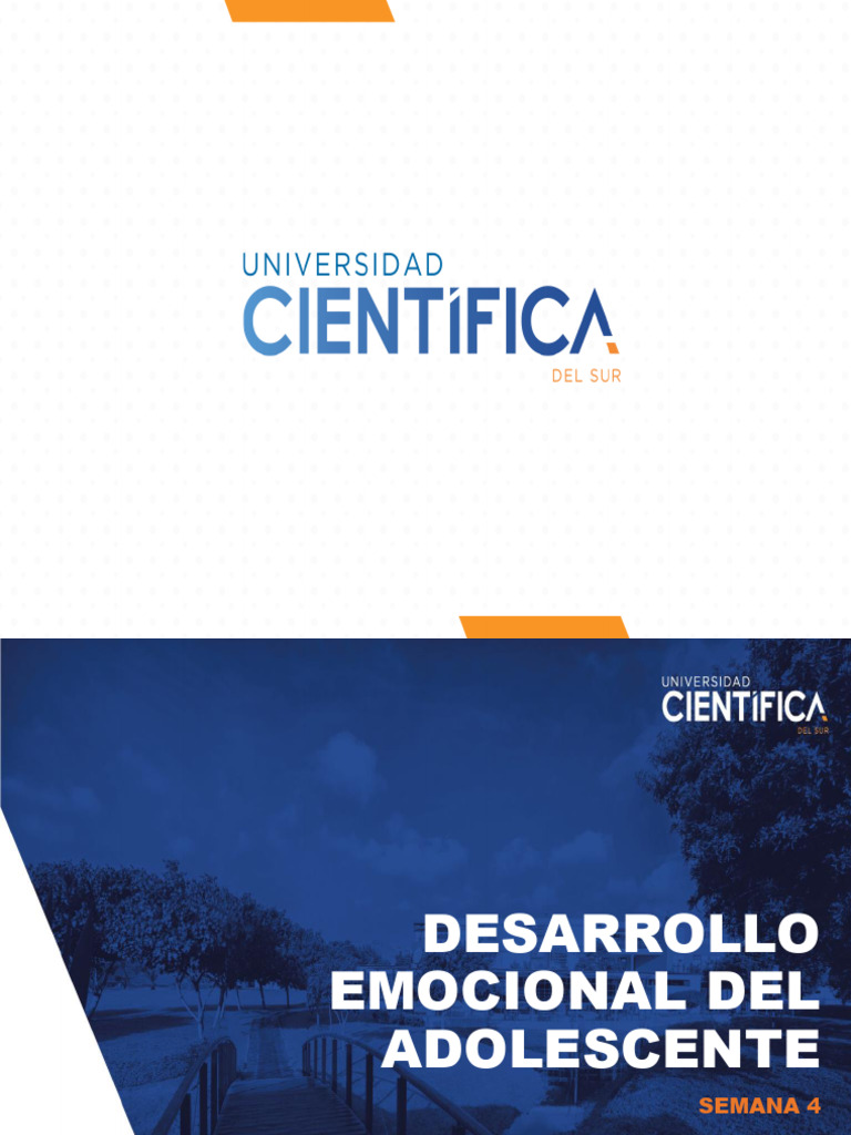 CLASE 4 (1) | PDF