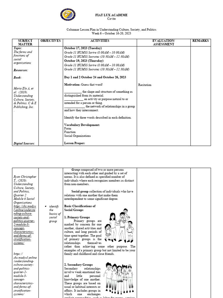 Lesson Plan: Social Organizations Overview | PDF | Psychology | Social ...