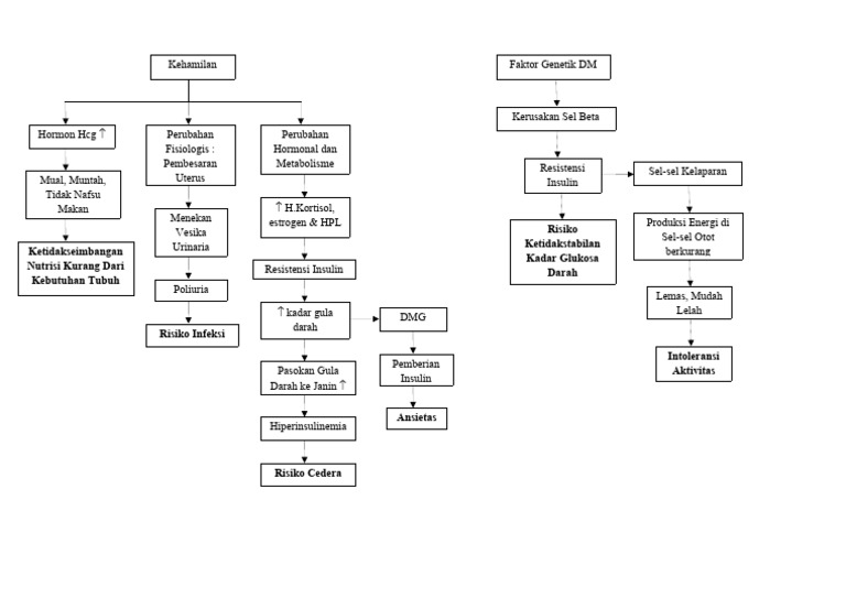 WOC DM Pada Ibu Hamil | PDF
