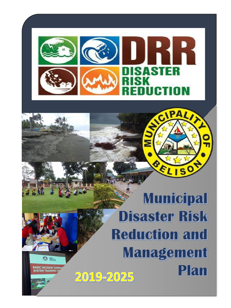 Patnongon Disaster Risk Management Plan | PDF