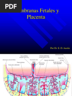 Decidua y Membranas Fetales | PDF | Placenta | Feto