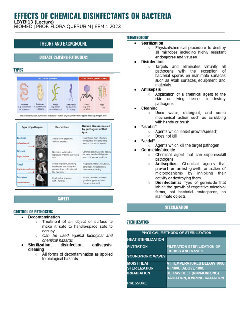 (Lbybi13) Effects of Chemical Disinfectants On Bacteria | PDF