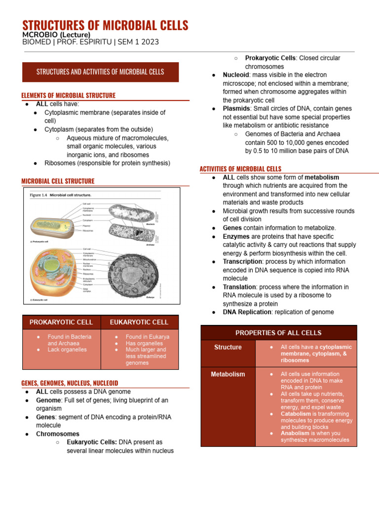(Mcrobio) Structures of Microbial Cells | PDF | Cell (Biology) | Archaea