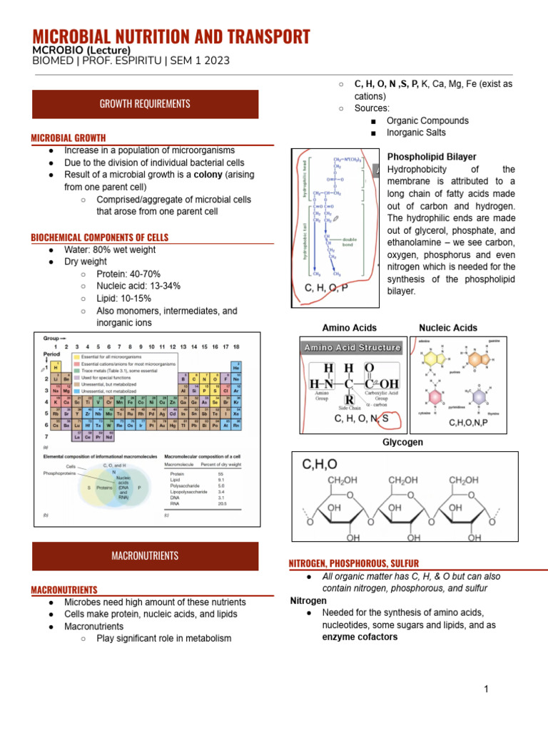 (Mcrobio) Microbial Nutrition & Transport Final | PDF | Secretion ...