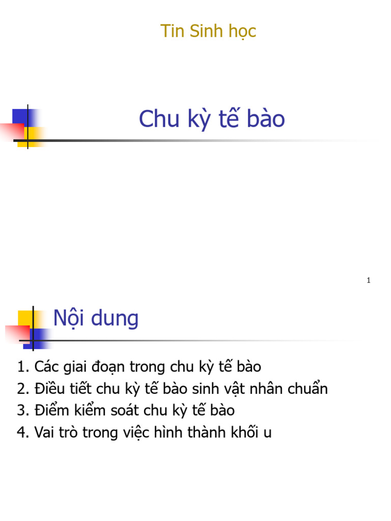 Chu kỳ tế bào | PDF
