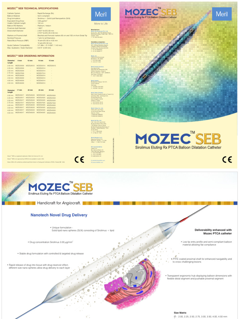 Mozec SEB Catheter Specifications | PDF