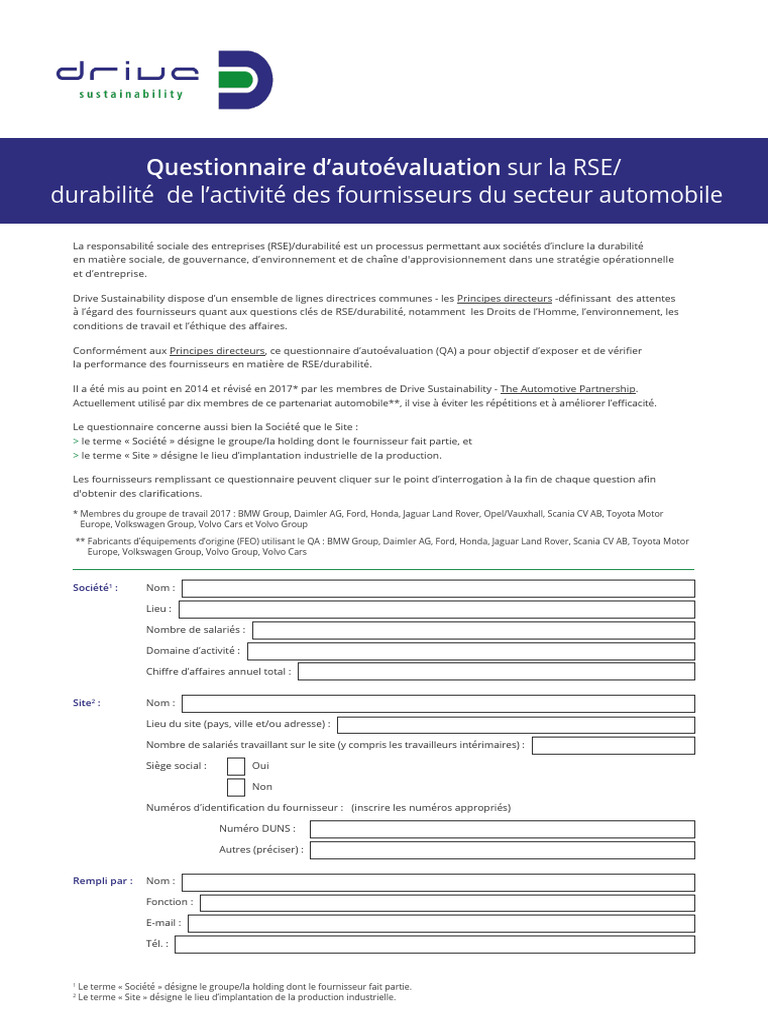 Formulaire Auto Evaluation RSE | PDF | Responsabilité sociétale des ...