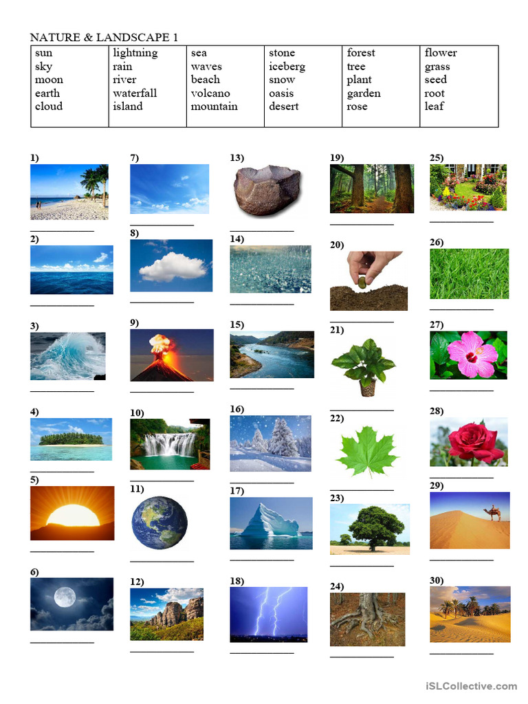 Nature & Landscape | PDF