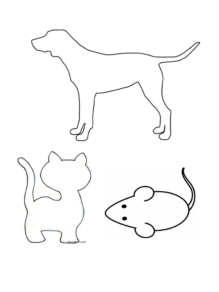 Ficha N°01 - Siluetas de Animales | PDF