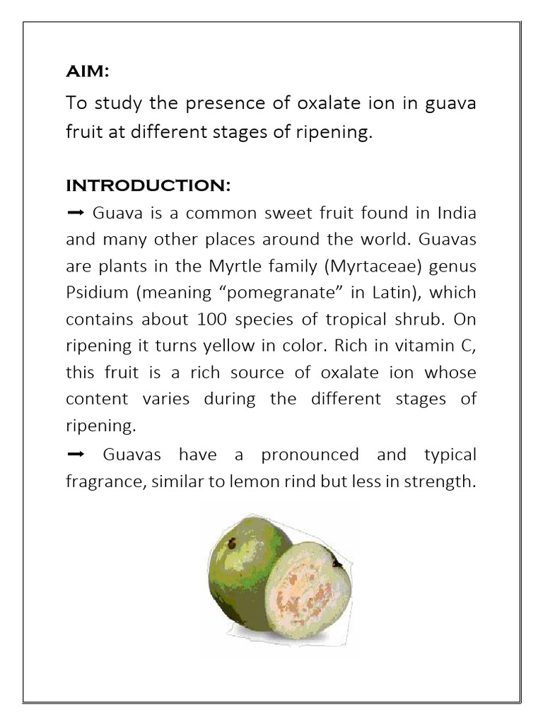 Chemistry Projects Guava Class 12 | PDF | Titration | Chemistry
