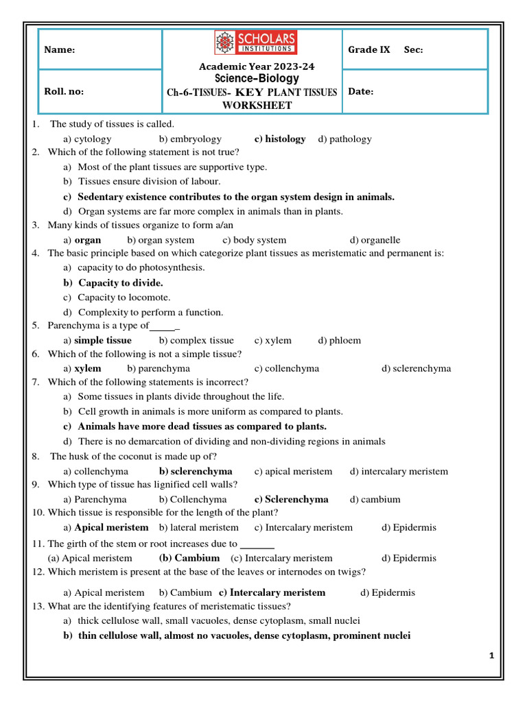 KEY GRADE 9 SCIENCE - BIOLOGY CH 6 Work-Sheet Tissues-PlantTissues 23 ...