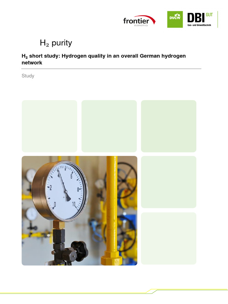Report Study H2-Purity EN Original-DBI | PDF | Hydrogen | Electrolyte
