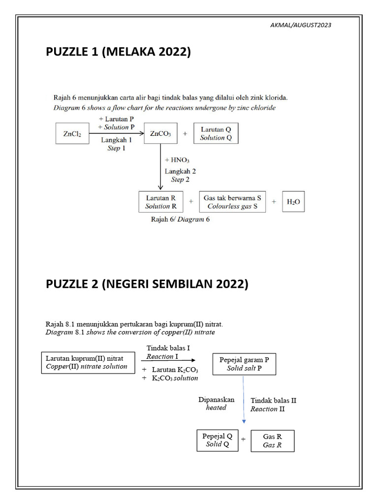 Puzzle Salt | PDF