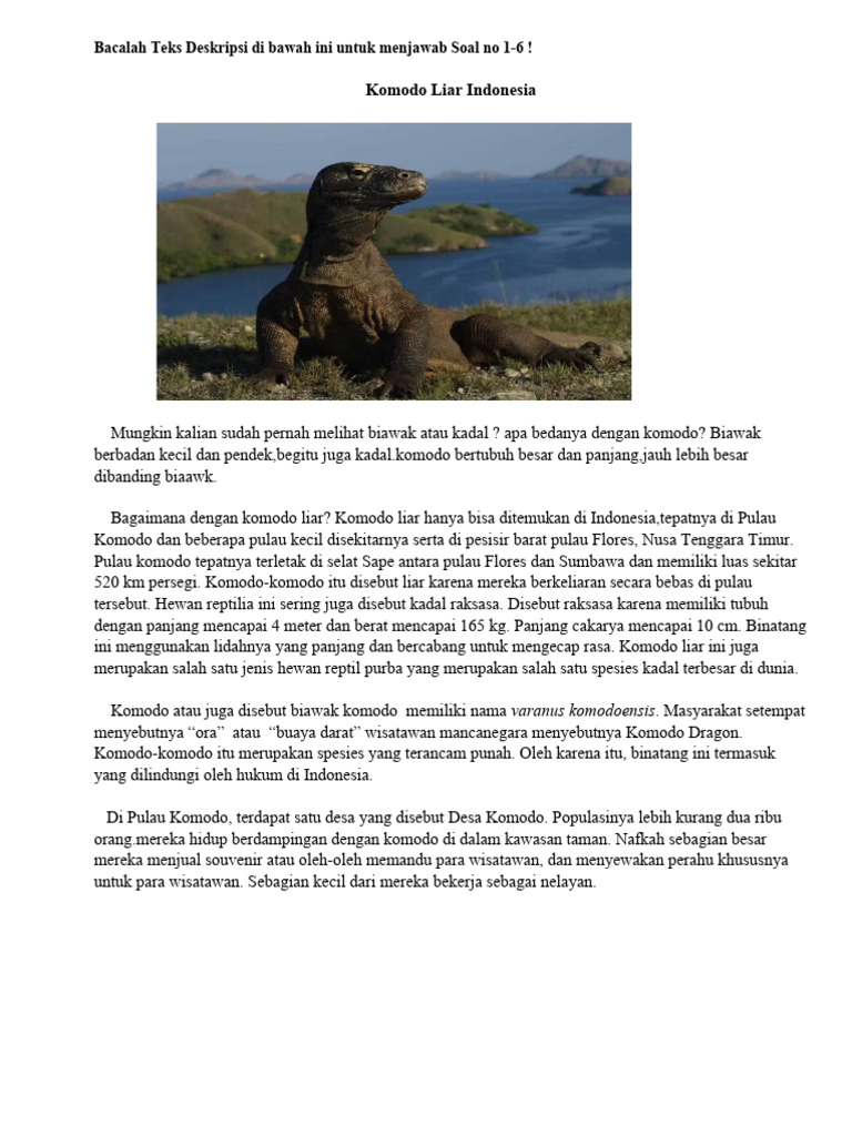 Kartu Soal Bindo 7 | PDF