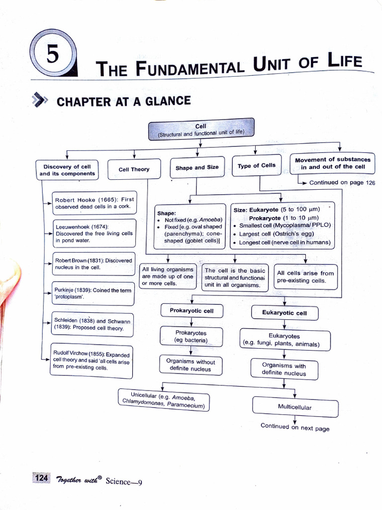 The Fundamental Unit of Life | PDF